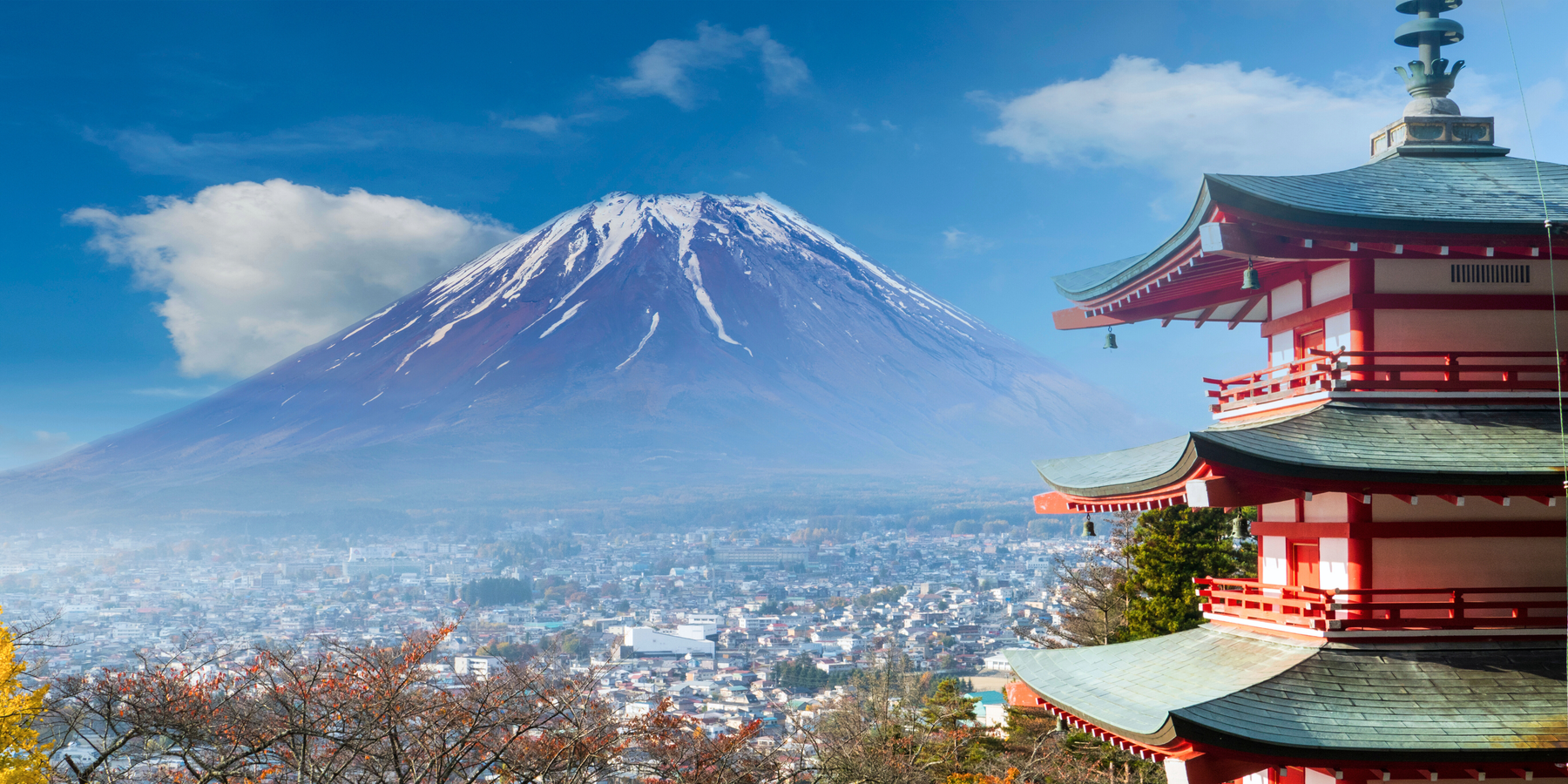 Discover the English Camp in Tokyo, Japan 2026 – Berlitz Thailand
